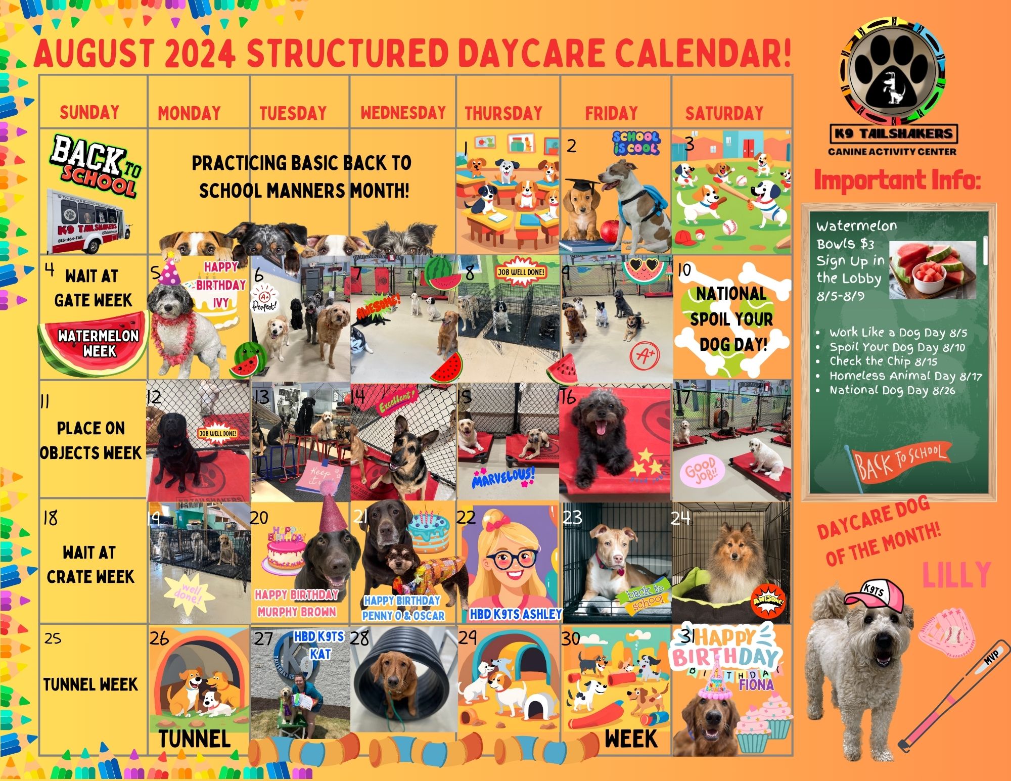 Structured Daycare | K9 Tailshakers, Inc.